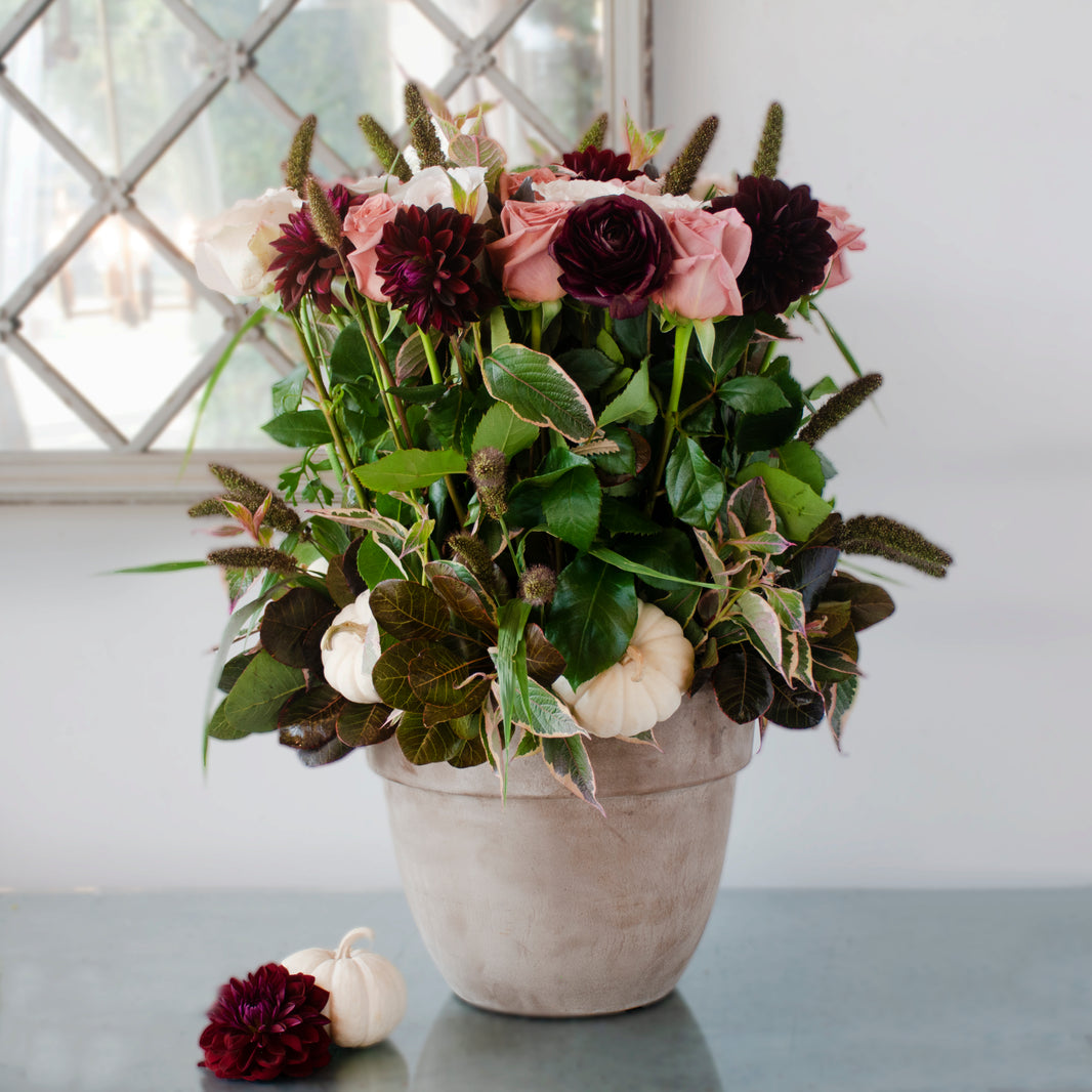 Roses – Empty Vase