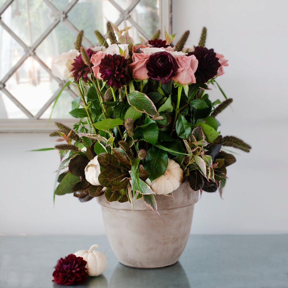 Roses – Empty Vase