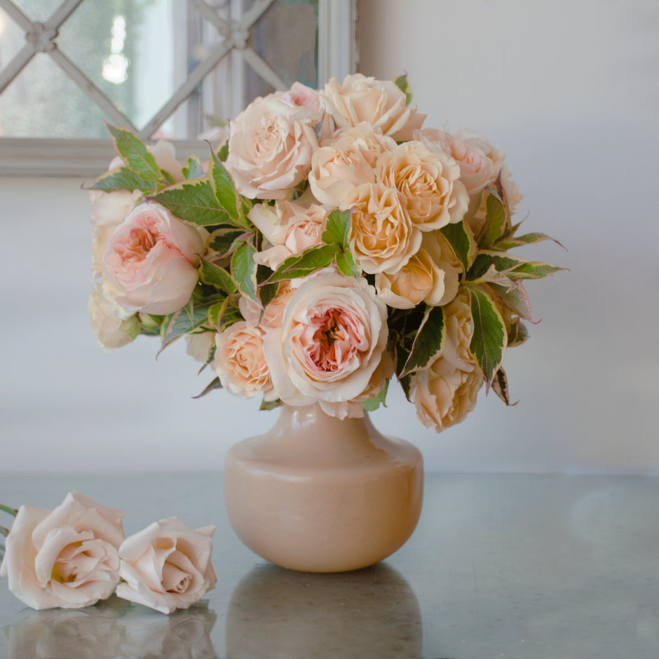 Roses – Empty Vase