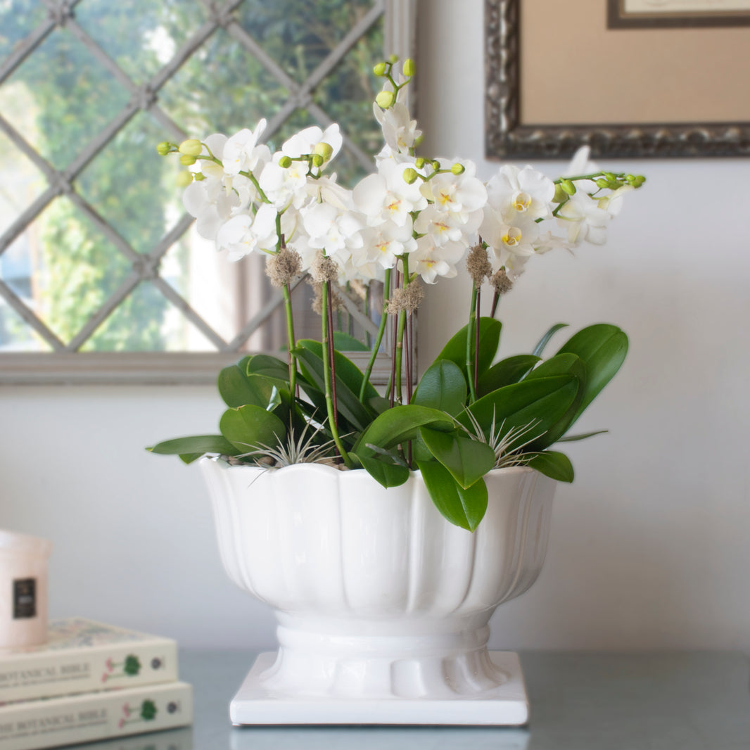 New Arrivals – Empty Vase