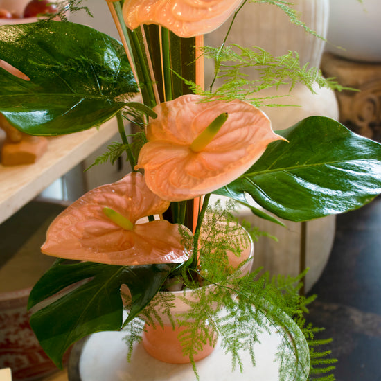Peach Ikebana – Empty Vase