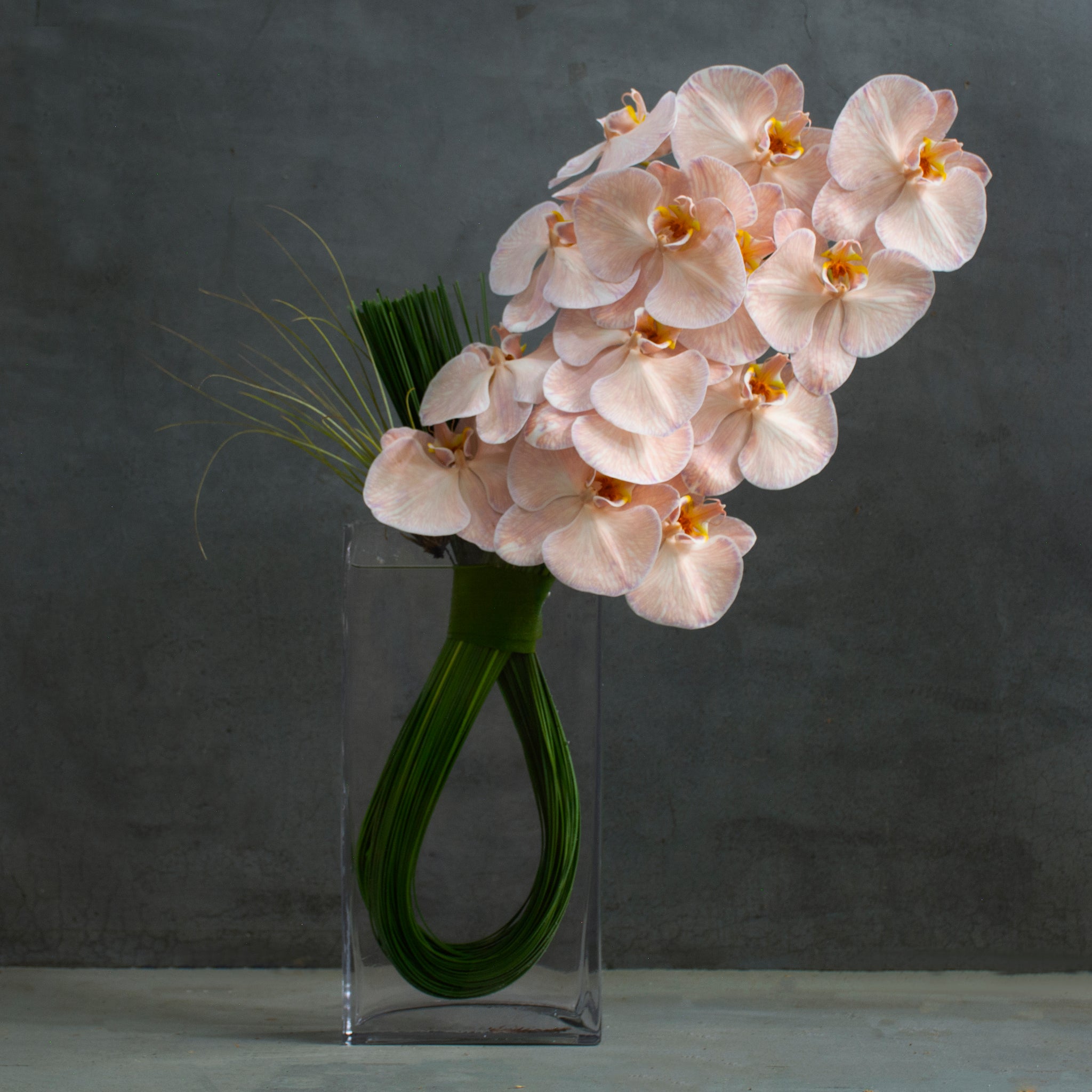 Chocolate Truffle – Empty Vase