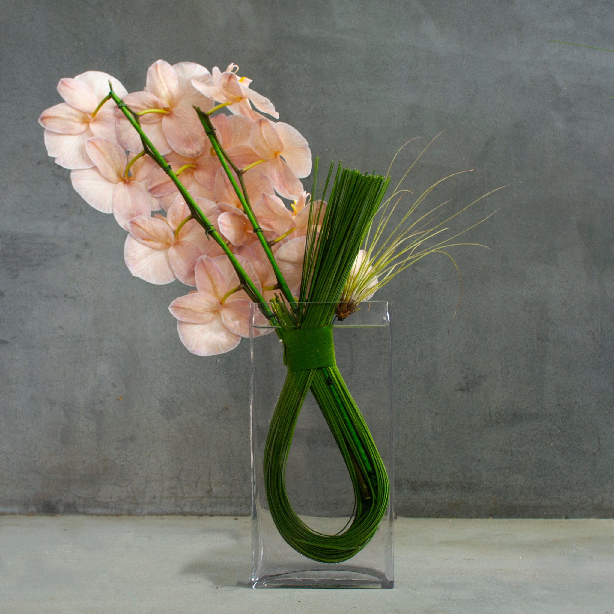 Chocolate Truffle – Empty Vase