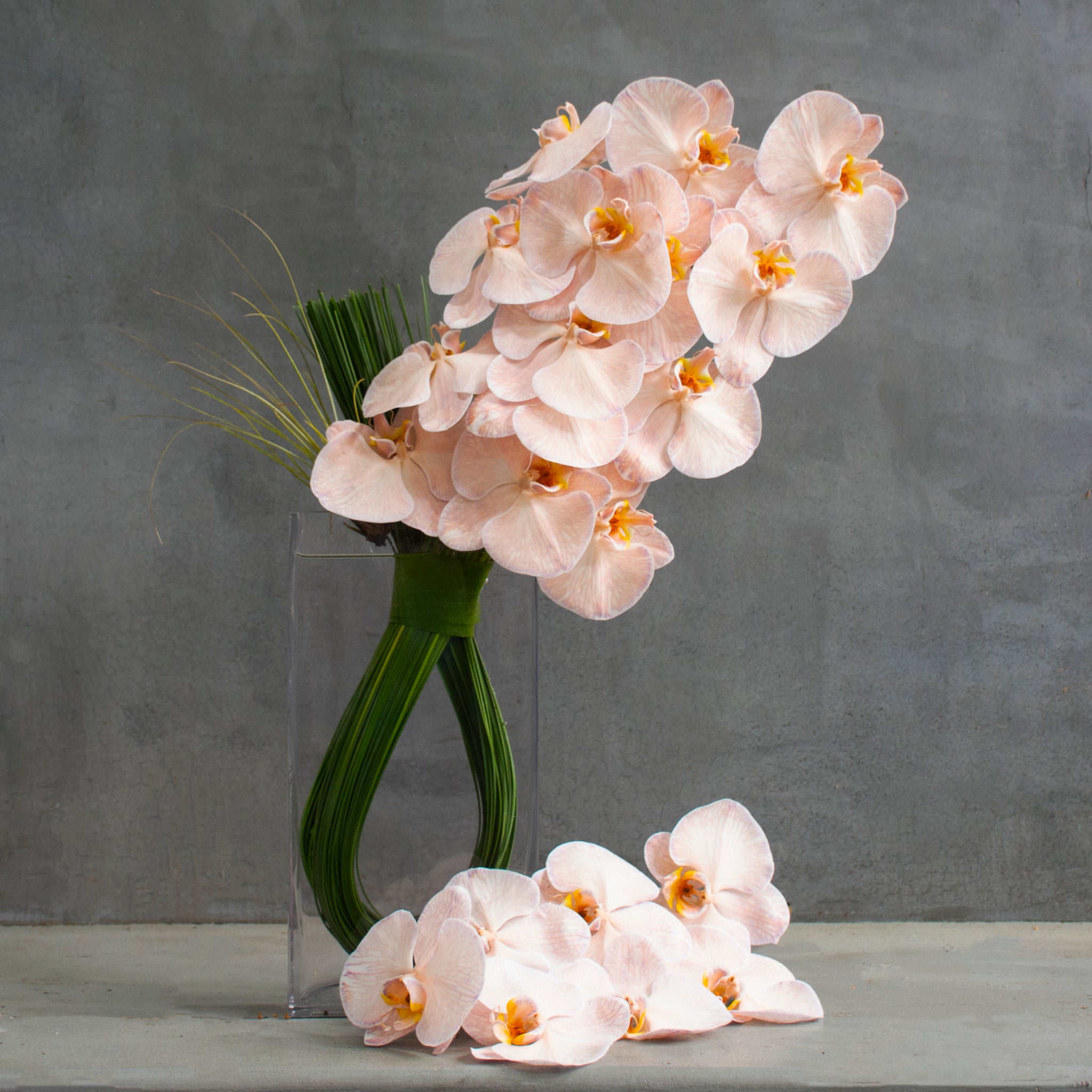 Chocolate Truffle – Empty Vase