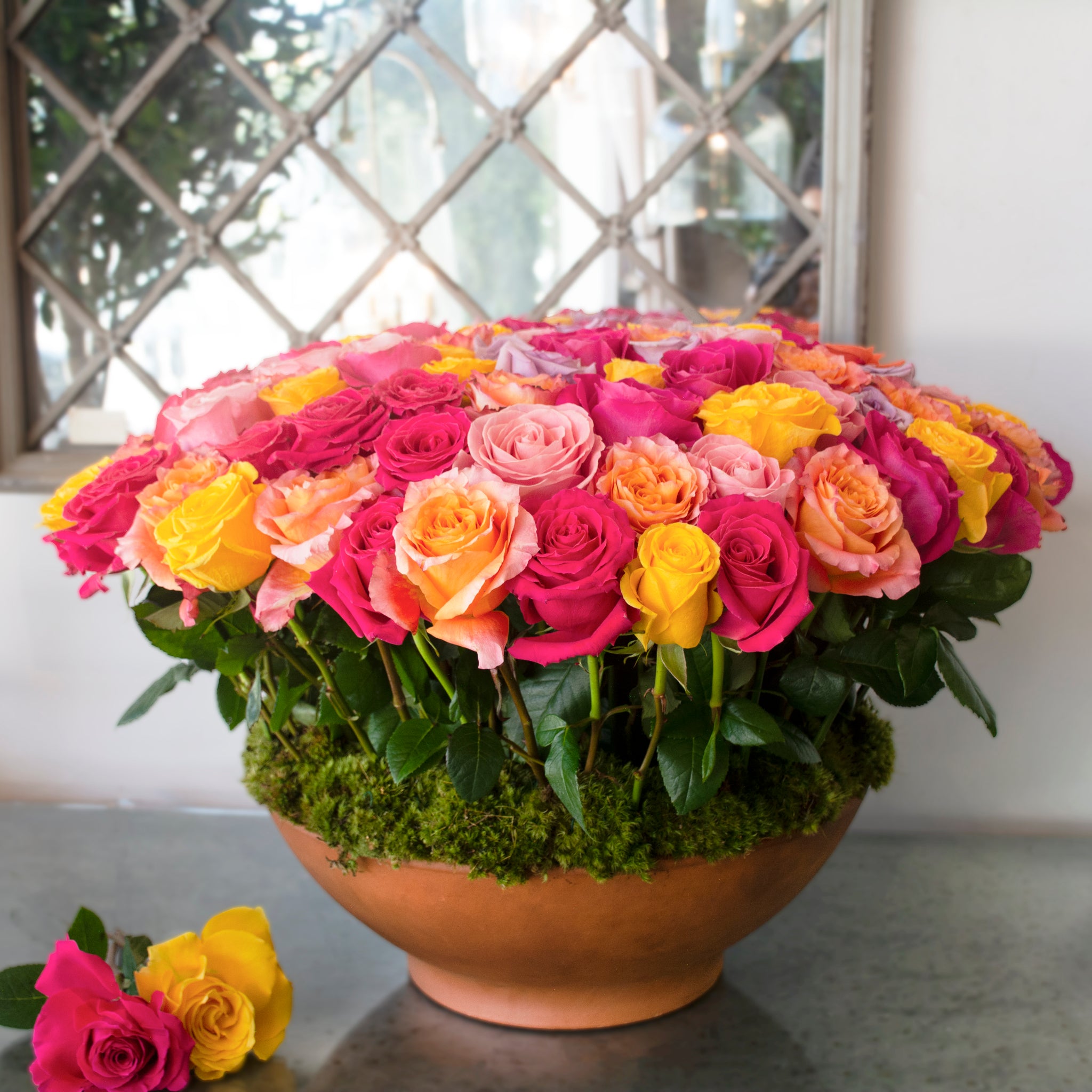 Potted Rose Garden – Empty Vase