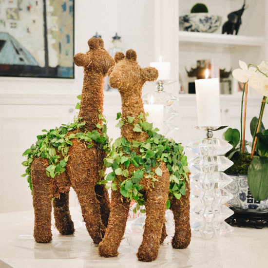 Empty Vase - Giraffe Topiary - Same Day Flower Delivery