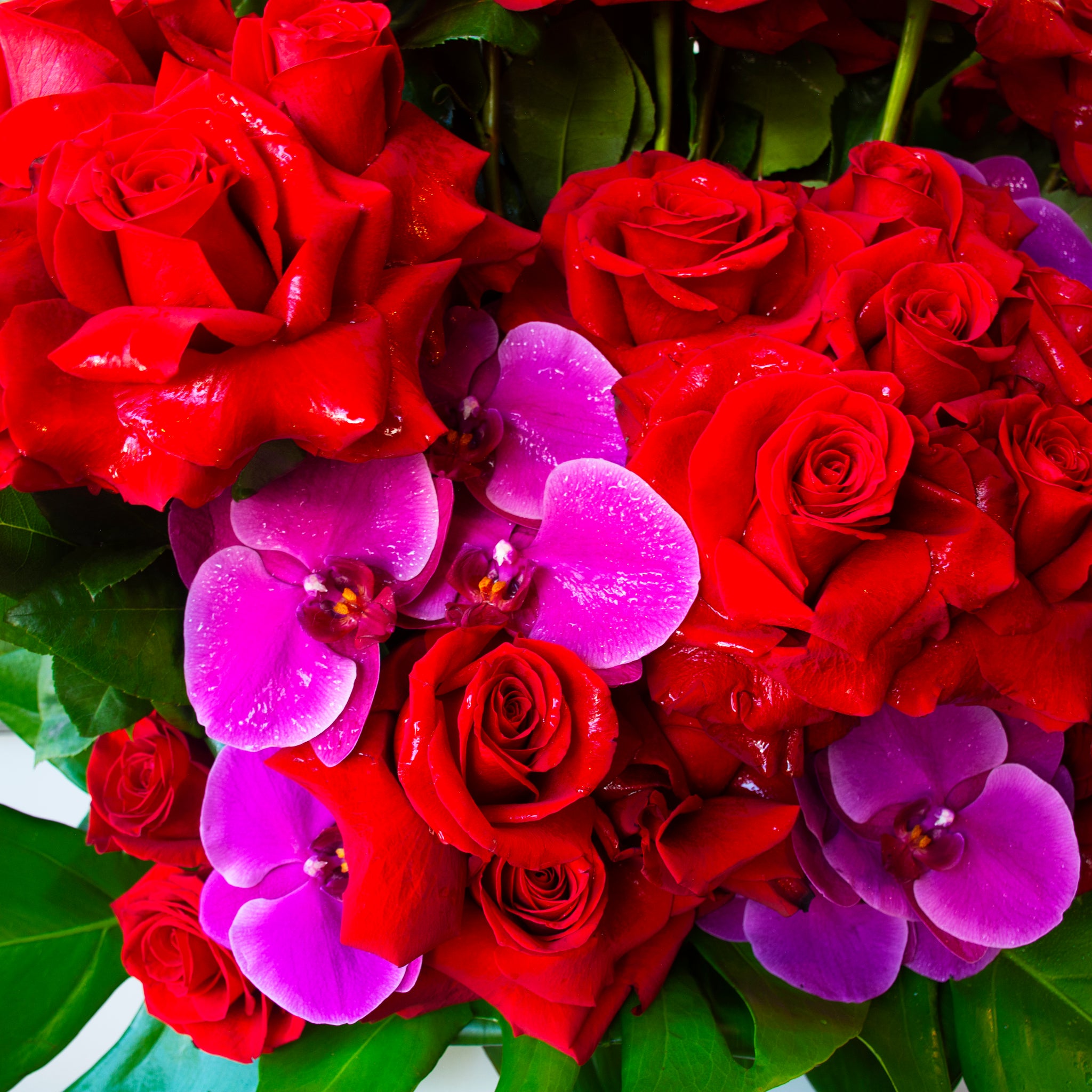 Roses and Phalaenopsis Orchids - Empty Vase Floral Arrangement