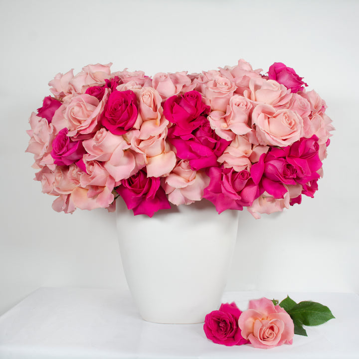 Roses – Empty Vase