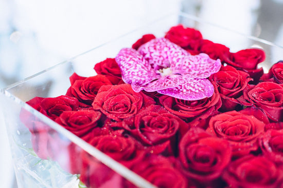 Empty Vase - The Enchanted Flower Box - Same Day Flower Delivery